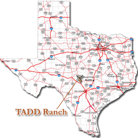 TADD Ranch Fredericksburg, TX Texas Deer Hunting; Trophy Whitetail Deer ...